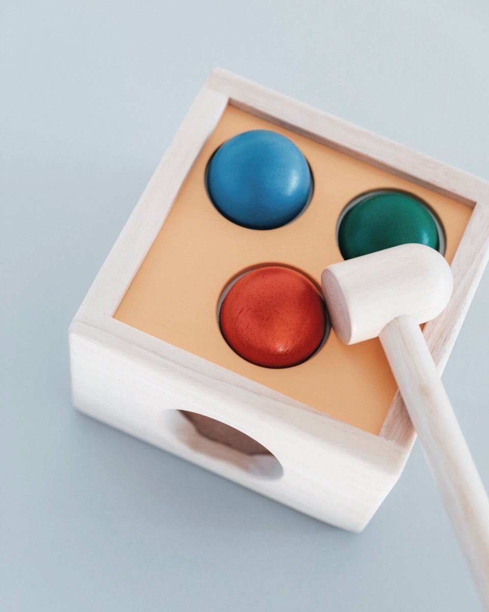 Montessori Wooden Punch & Drop Toy – Playroom Collective